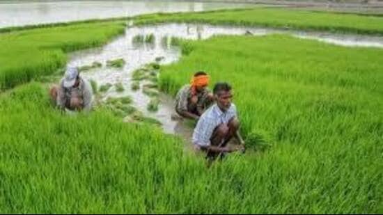 Rohtak: MDU, ICAR and IARI plan collaboration to promote agri-startups ...