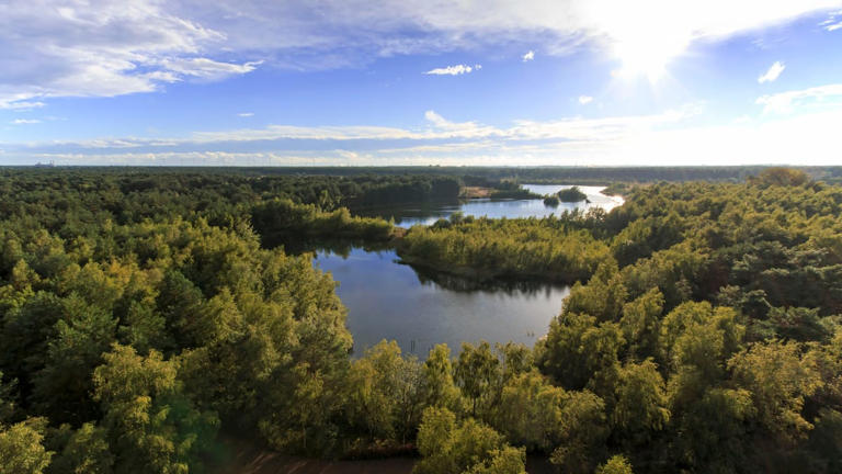 Die belgische Sahara bei Lommel entdecken