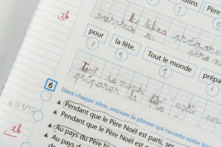 GCSE French exam sparks 'woke social engineering' row over 'bisexual ...