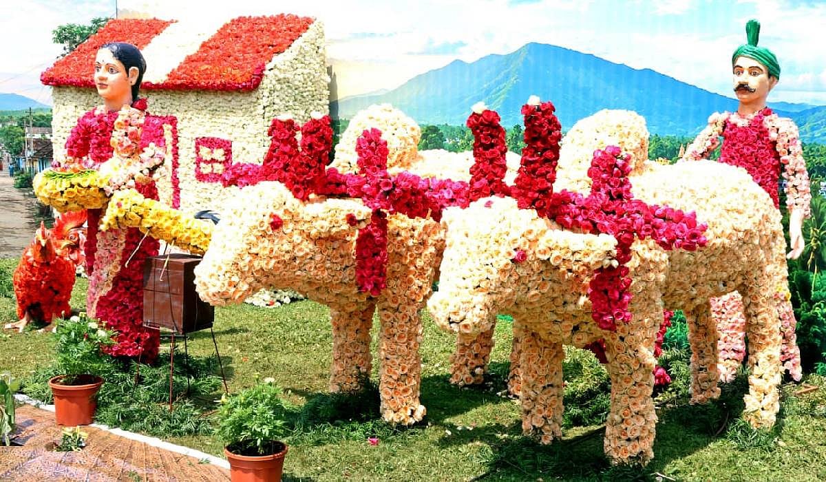 49th Yercaud summer festival begins, over two lakh flowers on display