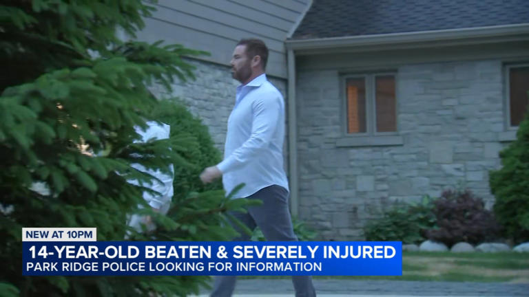 14-year-old boy suffers severe brain injuries during fight in Park ...