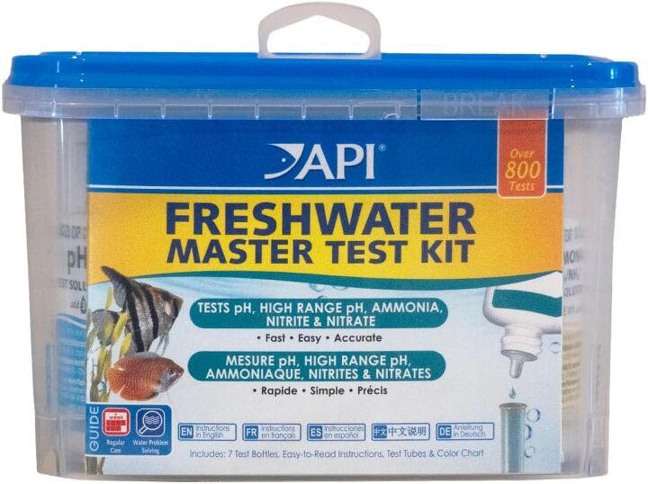 How to properly care for betta fish