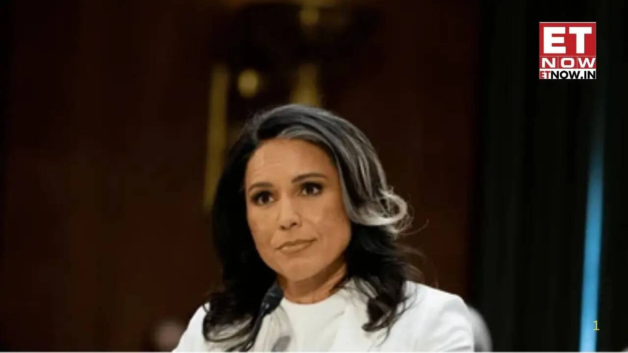 Another high-profile exit from Trump's cabinet! US spy chief Tulsi ...