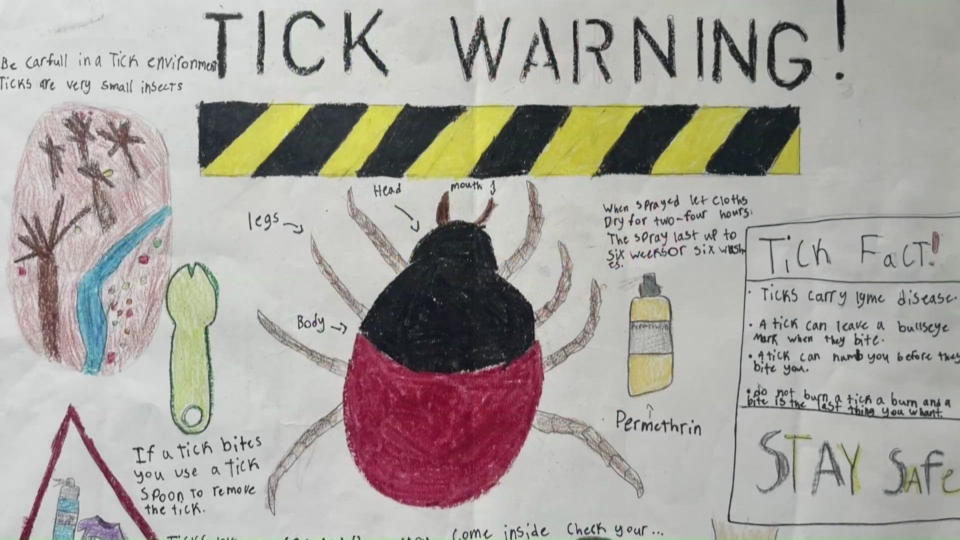 Maine CDC shares winners of 2026 poster contest