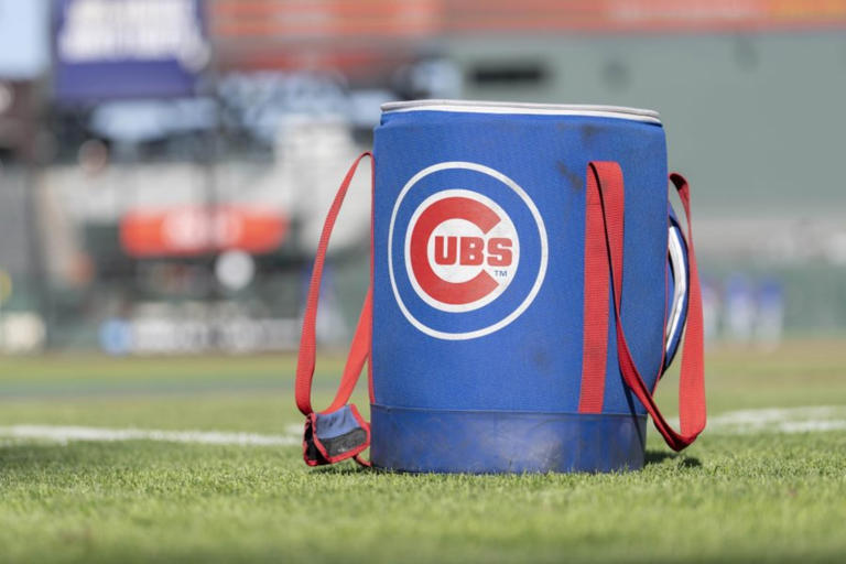 Chicago Cubs farm system ranking takes a dip