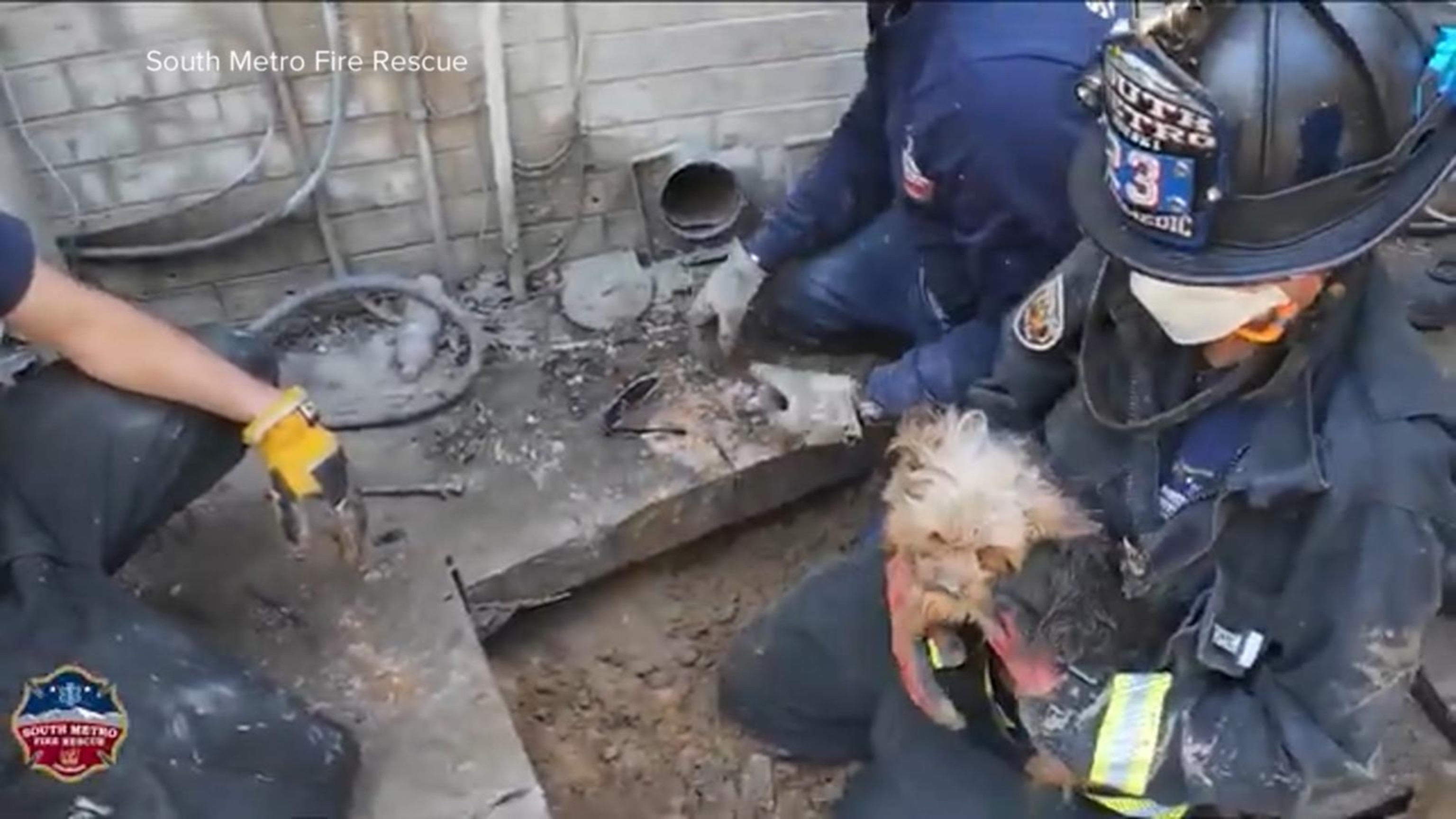 America strong: Colorado firefighters rescue family's dog trapped under ...
