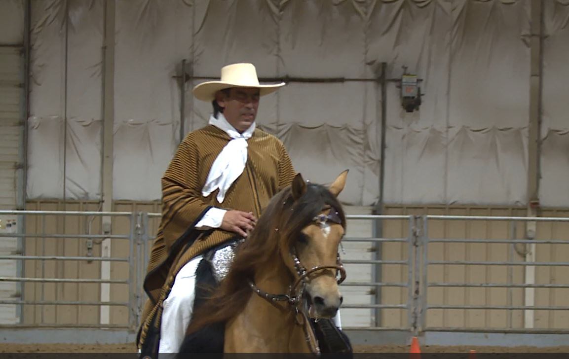 Peruvian horse show underway at Stormont Vail Events Center