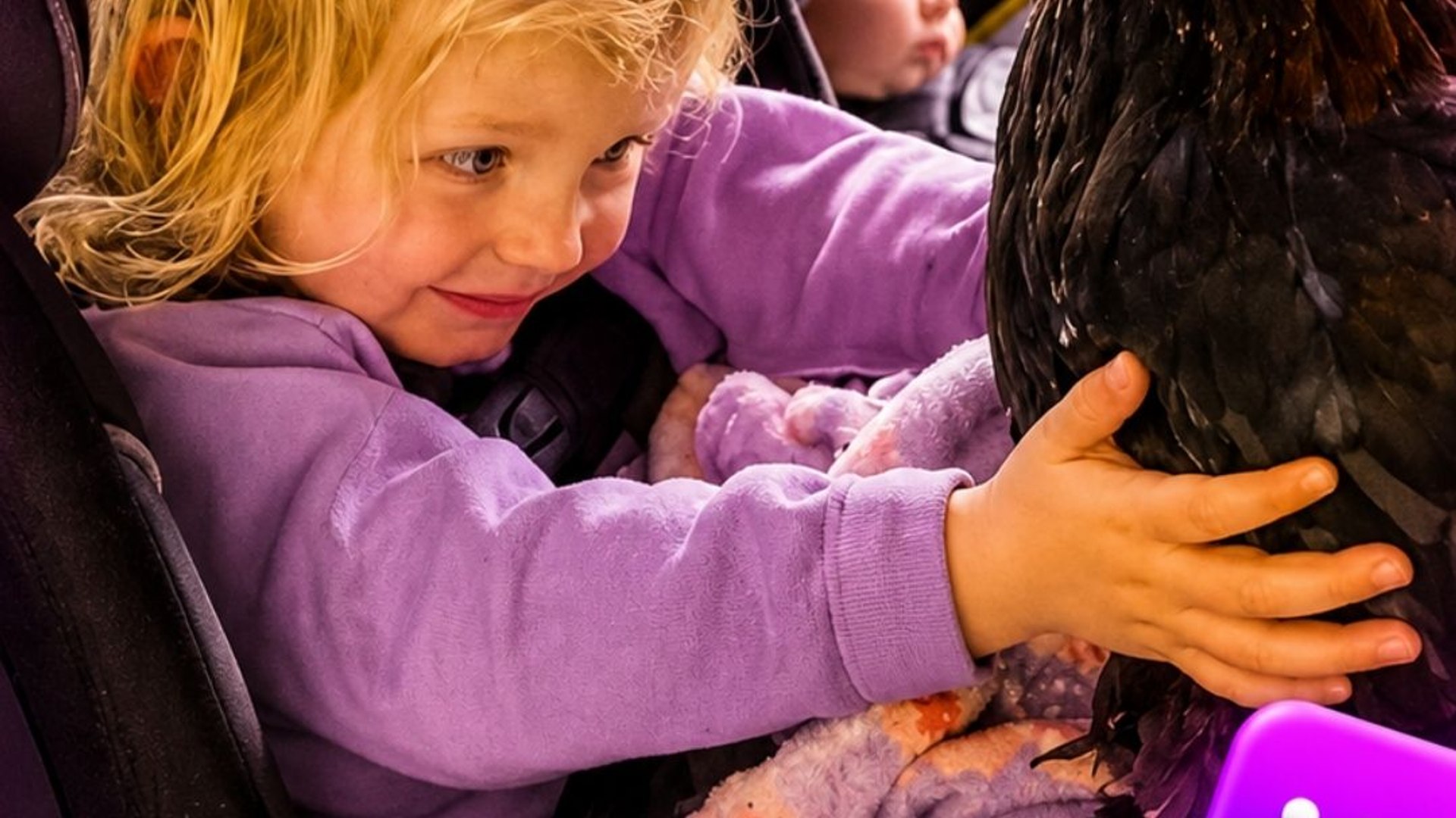 Little one awakens cheerfully when chicken appears