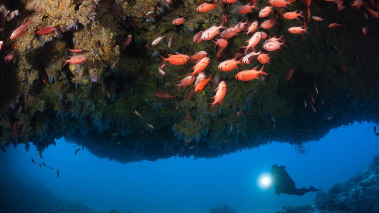 After 6 dead in a Maldives scuba tragedy, the safety lessons we need to ...