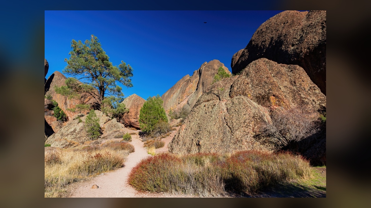 Ancient rock towers, wild condors, and cave darkness: Welcome to ...