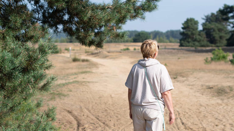 Die belgische Sahara bei Lommel entdecken