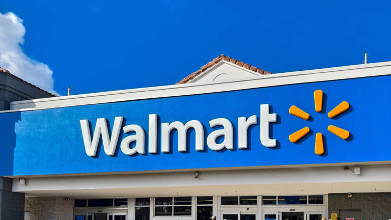 Walmart's 'sturdy' window bird feeder lets birds 'get really up close ...