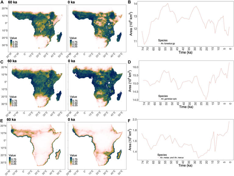 Malaria may have shaped human evolution for thousands of years