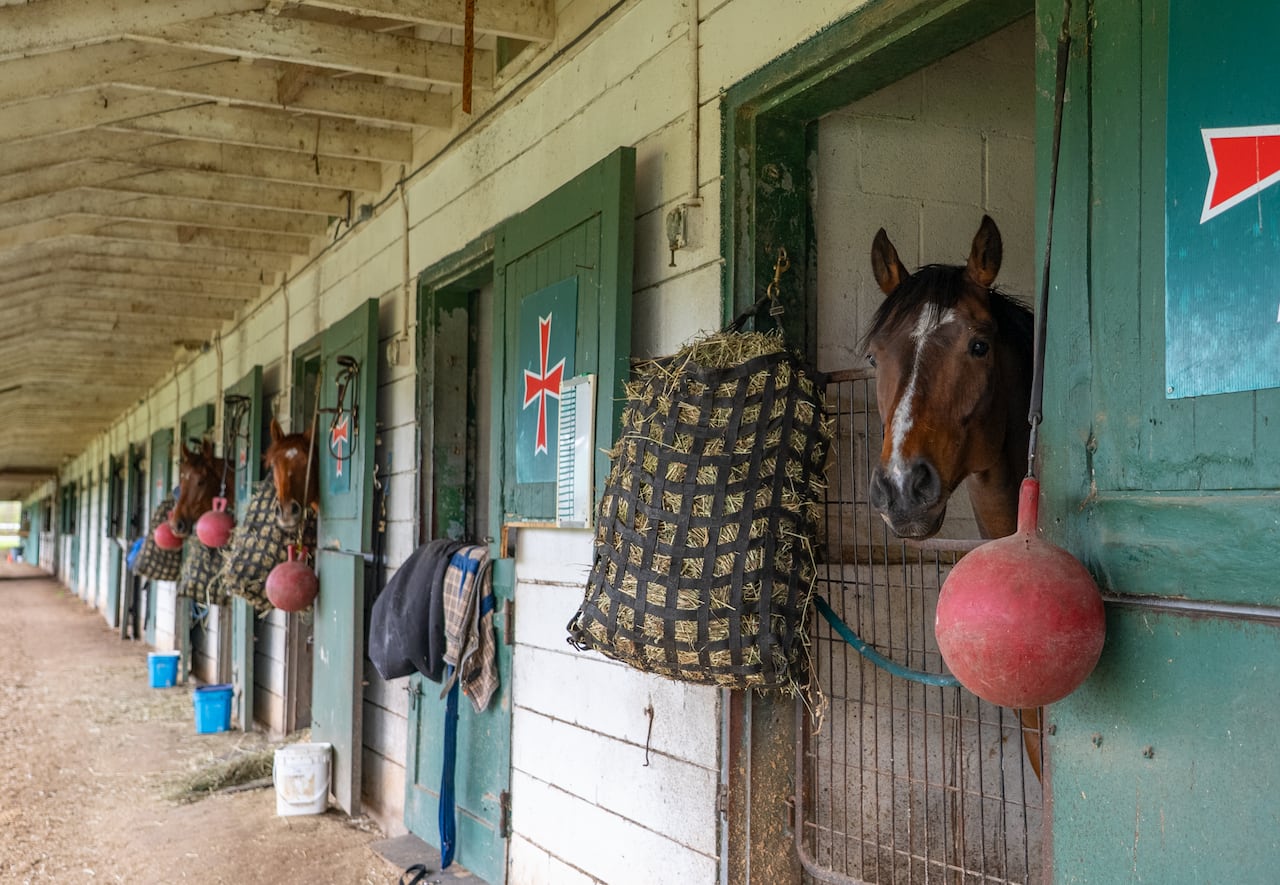 We'll 'start letting people go,' racetrack says if Ontario funding ...
