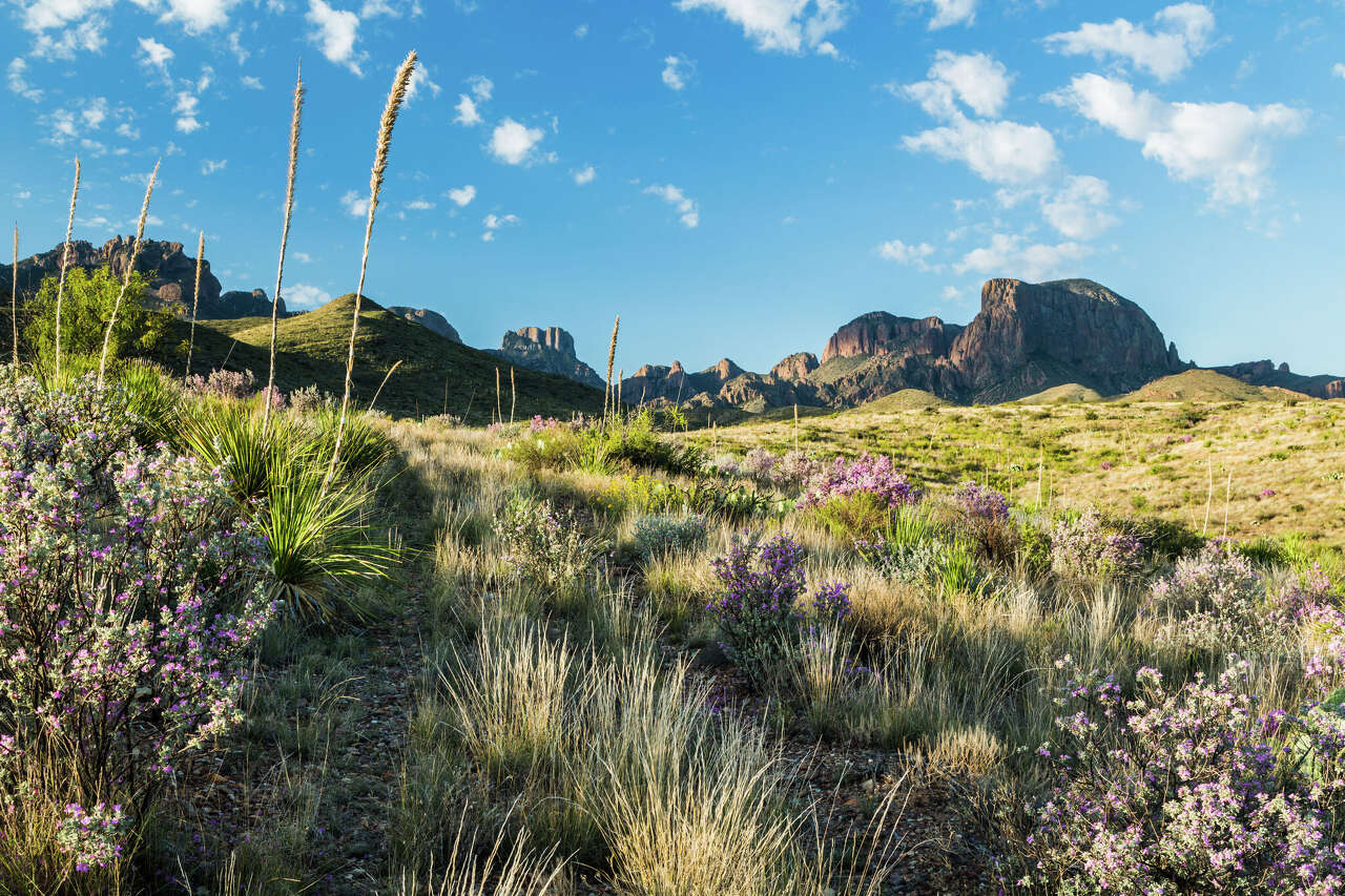 Former Big Bend leaders warn border plans could forever alter national park