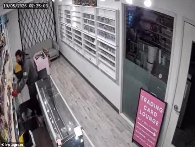 Moment burglar smashes into Pokémon trading card shop to steal $7,000 ...