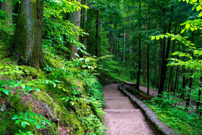 Fatal accident: Woman dies after falling off cliff at Ohio hiking trail