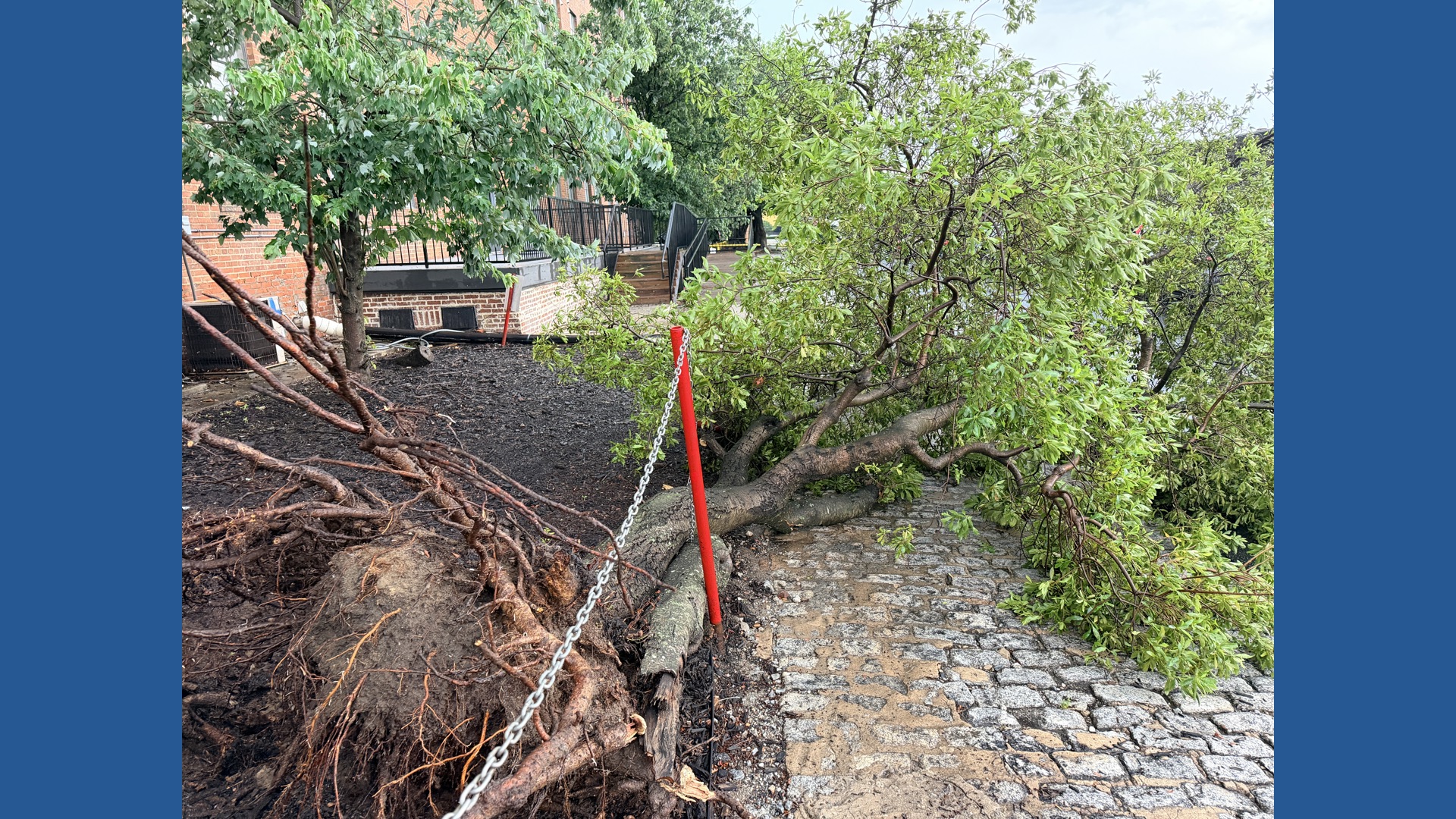 A look at damages after severe storms hit Central Georgia