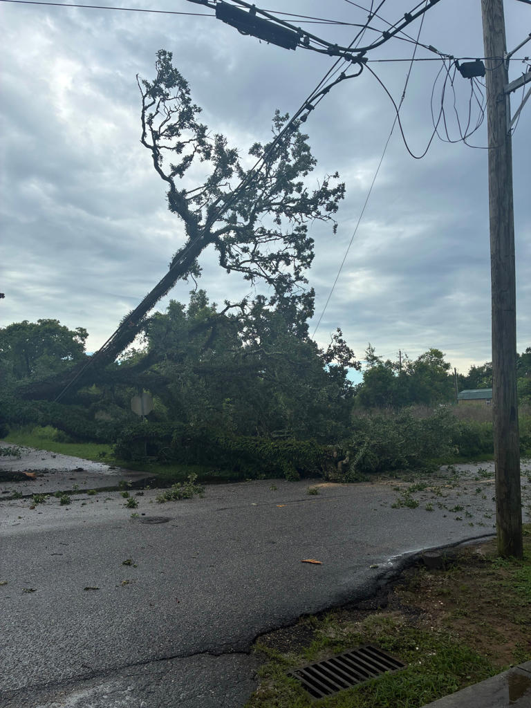 Photos show storm damage in Prichard