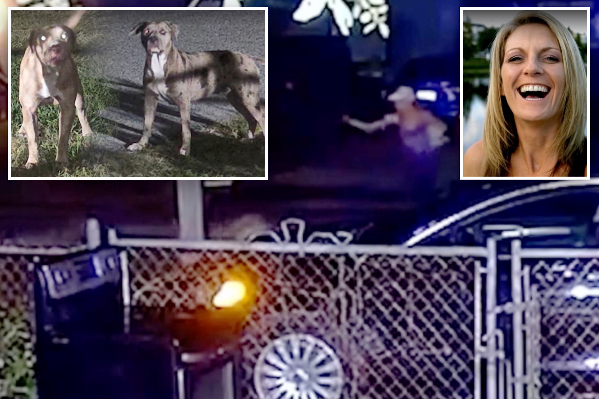 Fla. woman, 50, 'ripped apart' by neighbors' pit bulls, who were known ...