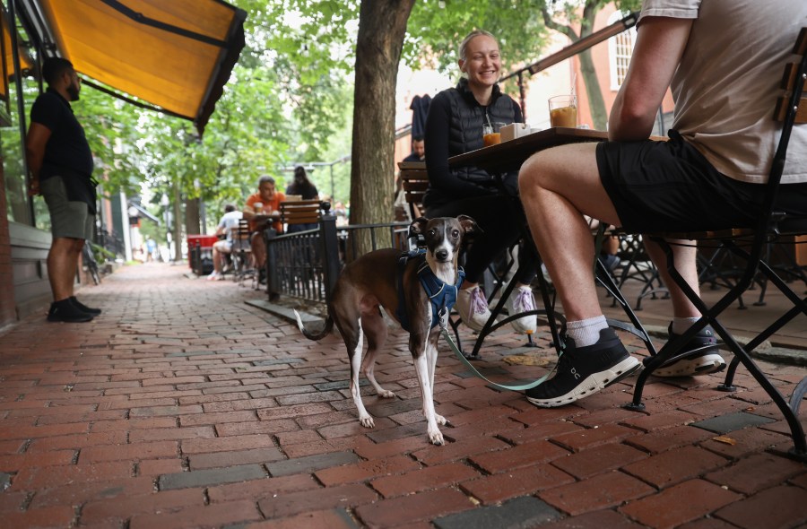 Dog days of summer: Salt Lake County names restaurants with dog ...