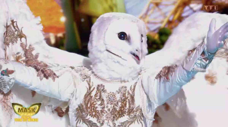 Mask Singer : quelle star est sous la Chouette ? Nouveaux indices et ...