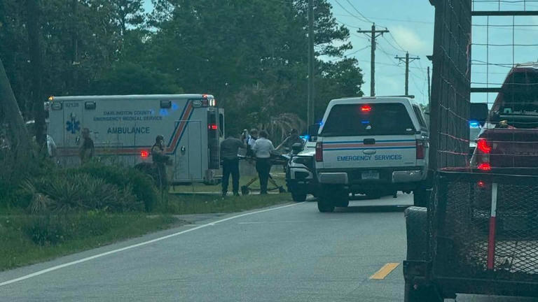 2 arrested after stolen car chase in Florence; deputies search for 3rd ...