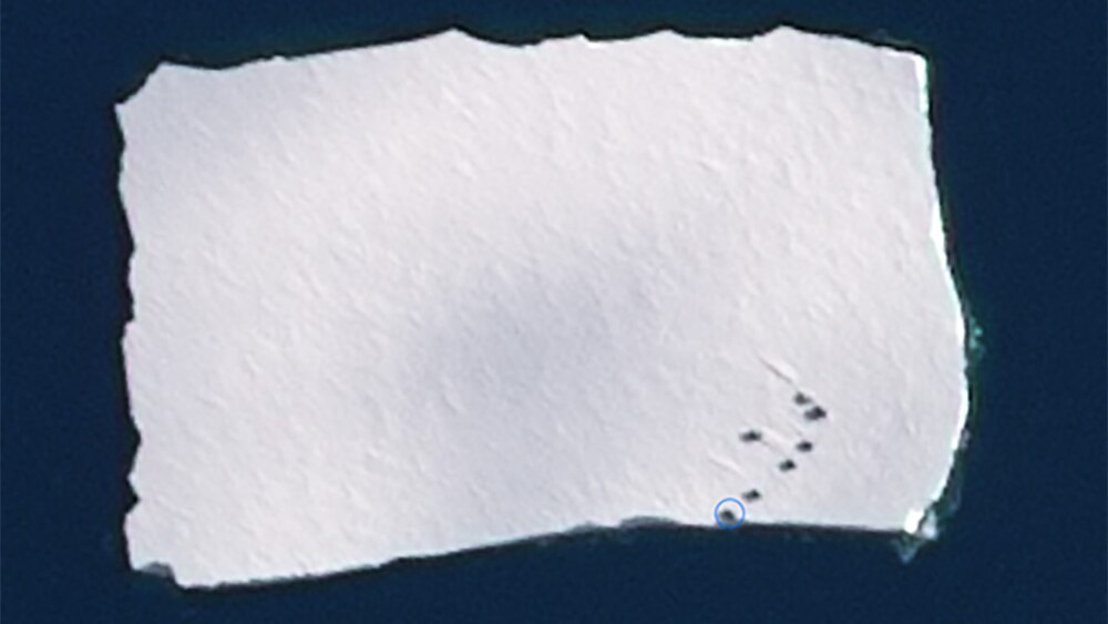 Antarctic station discovers its shipping containers floating away on ...