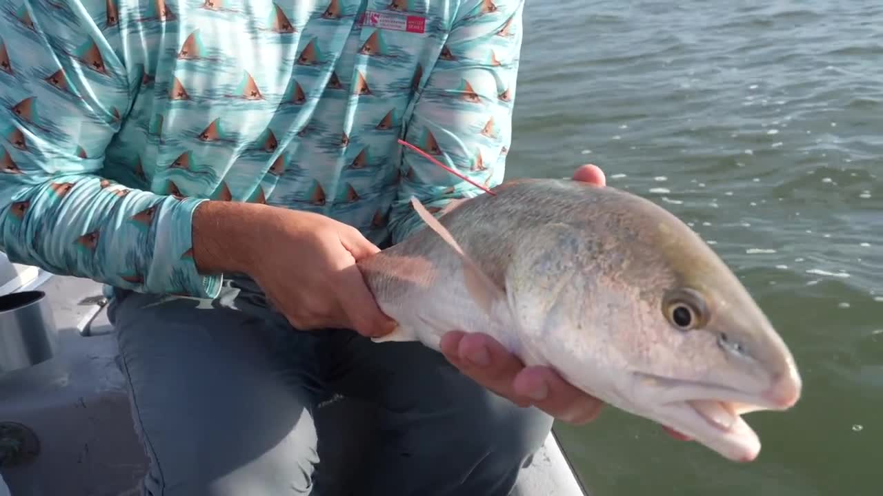 CCA Texas Star Tournament stocks tagged redfish in Corpus Christi Bay