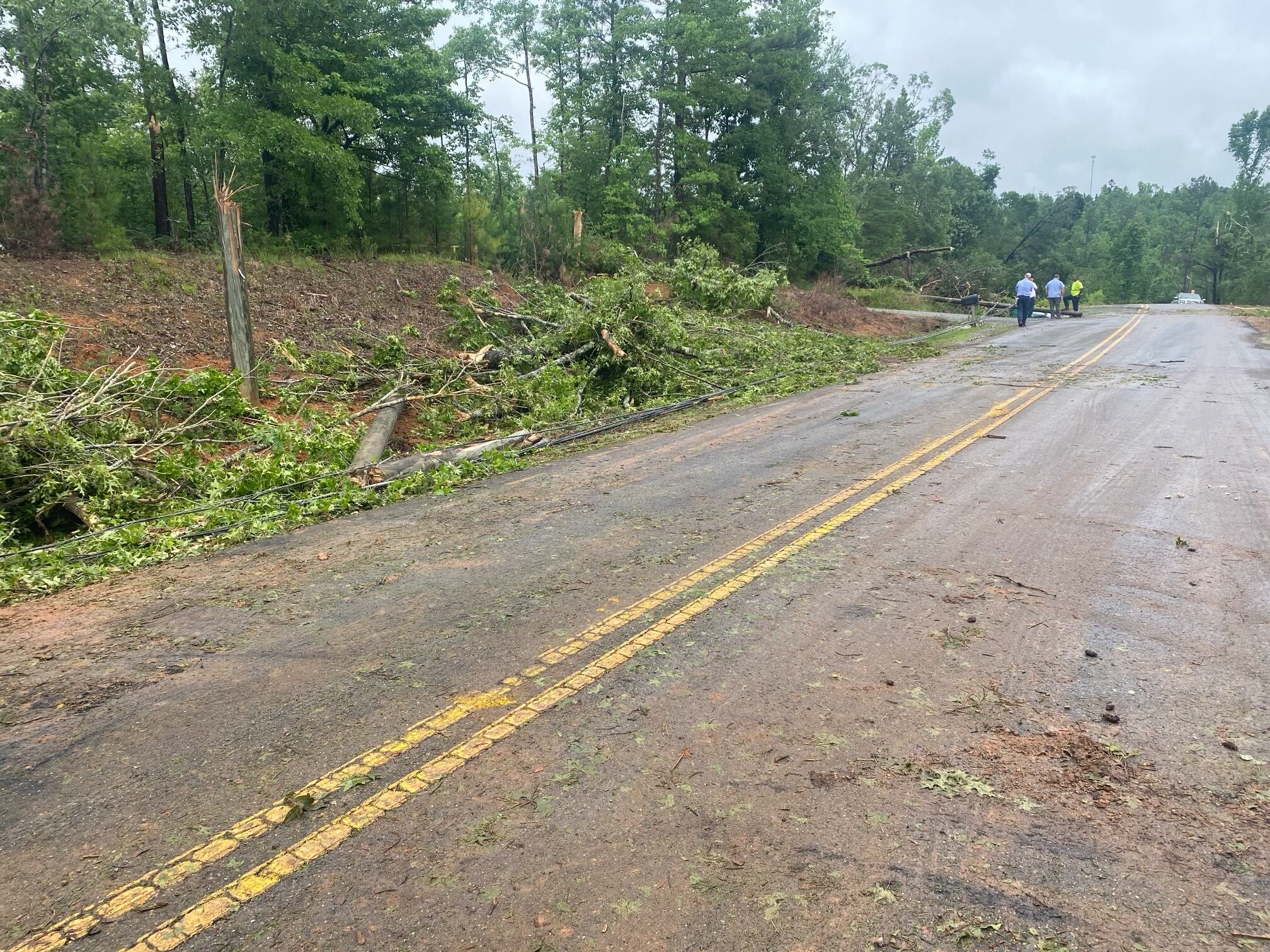 Tornado survivor in east Tuscaloosa County learns crucial lesson for ...