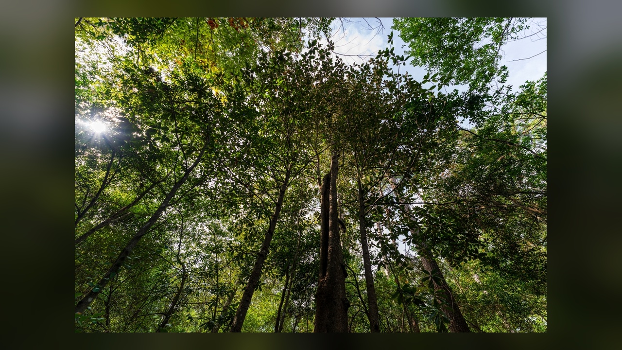 This free Texas preserve has 9 ecosystems in one place, and most people ...