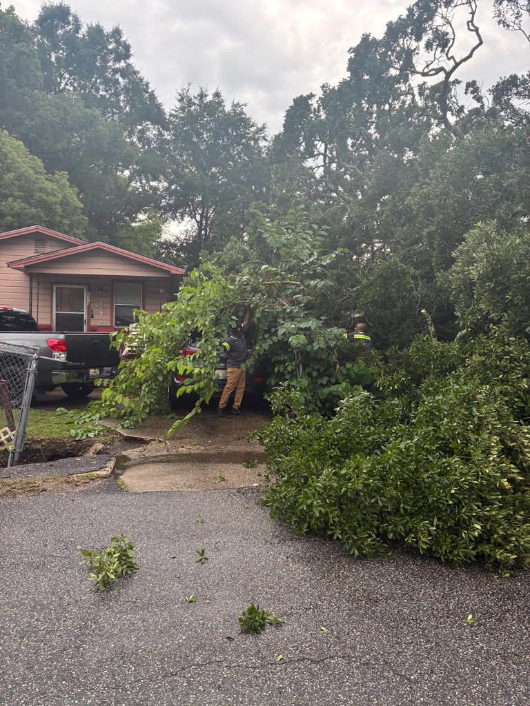 Photos show storm damage in Prichard