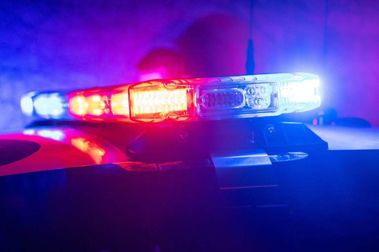Two Saginaw drivers flee traffic stops, are later arrested, police say