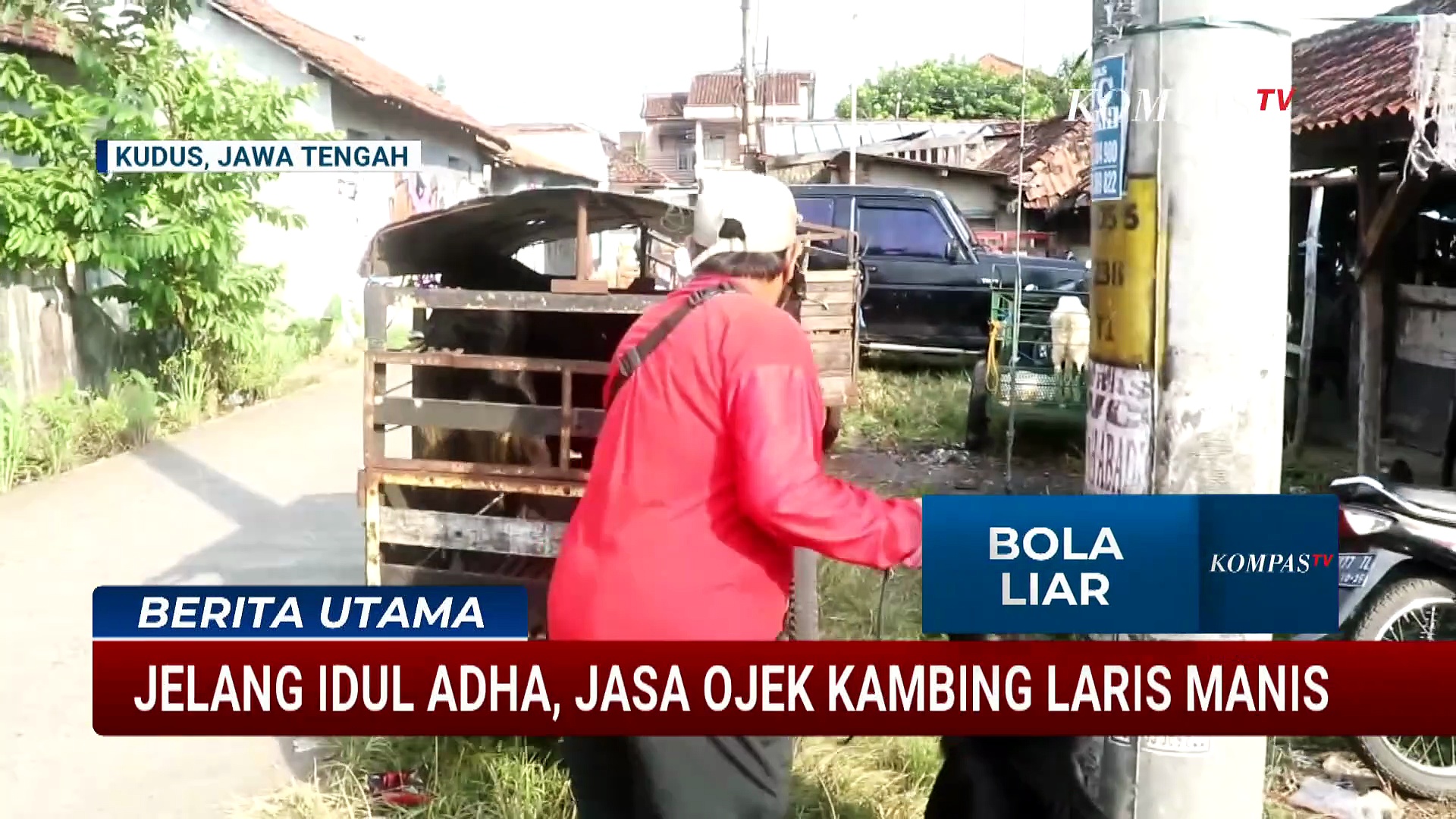 Jelang Idul Adha, jasa ojek kambing laris manis | BERITA UTAMA