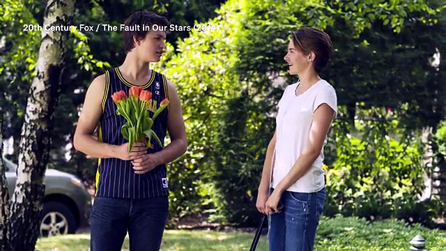 Does Shailene Woodley know her lines?