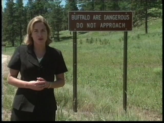 From the archive: Deadly 2001 bison attack in Custer State Park