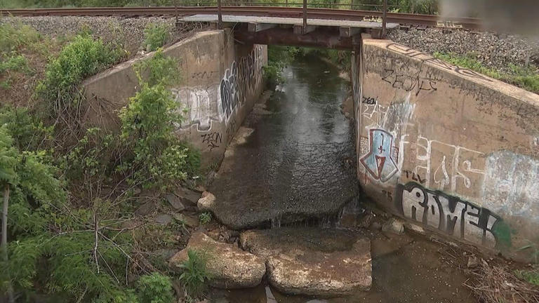 Adult skeletal remains found near northeast Philadelphia creek, police say