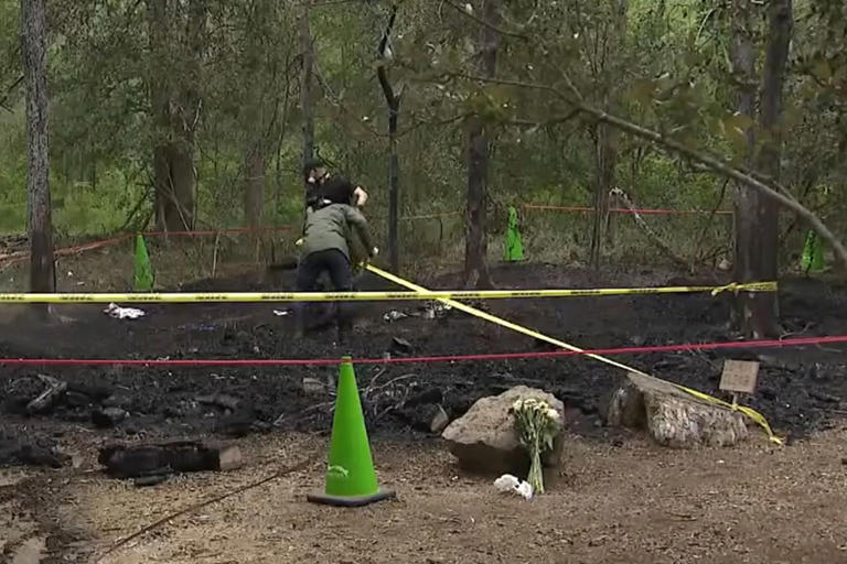 A beloved giant troll in Austin vanished overnight after burning to the ...