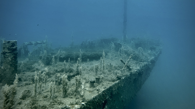 This diving robot is investigating 500-year-old secrets off the French ...