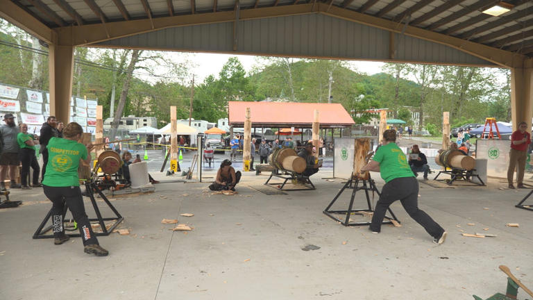 Webster County woodchopping festival draws international competitors ...