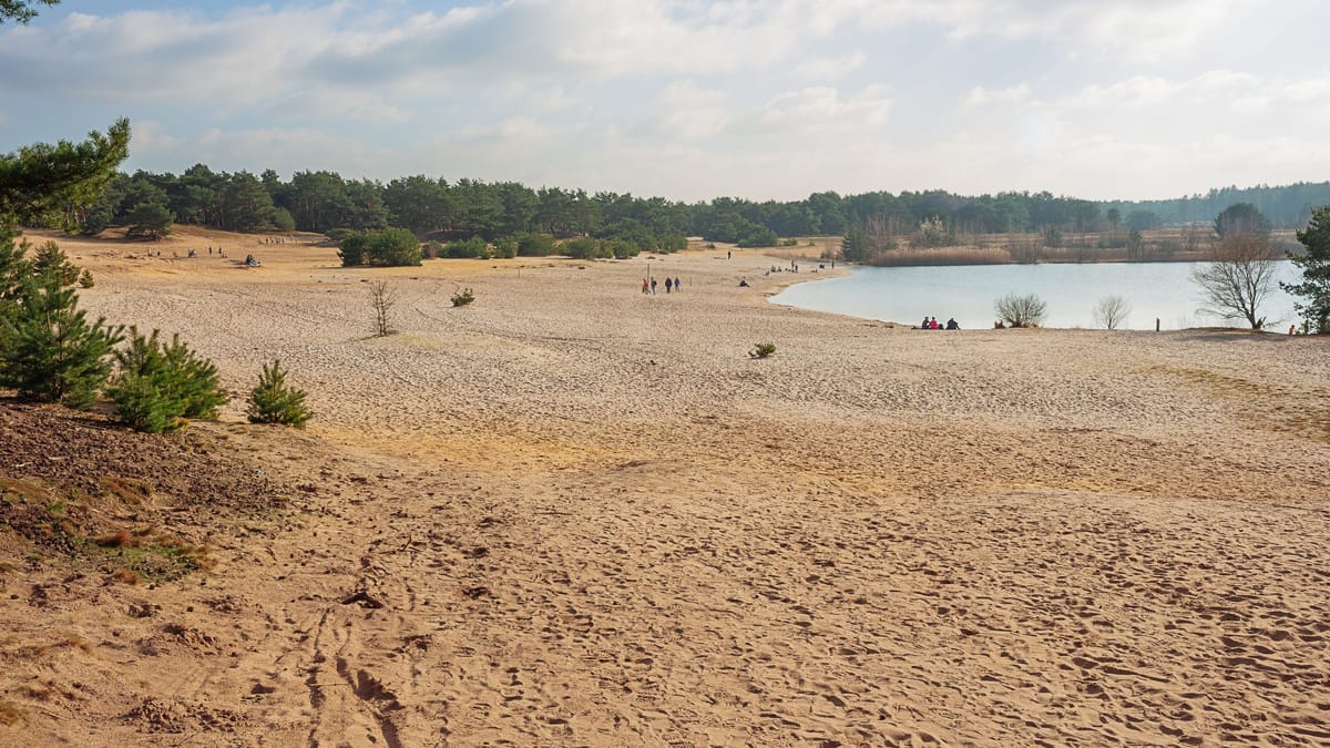 Die belgische Sahara bei Lommel entdecken