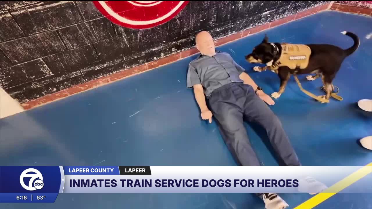 Michigan inmates train rescue dogs for veterans, first responders