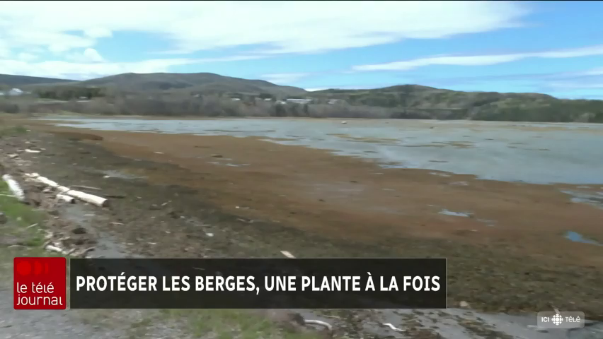 Revitaliser la baie des Capucins