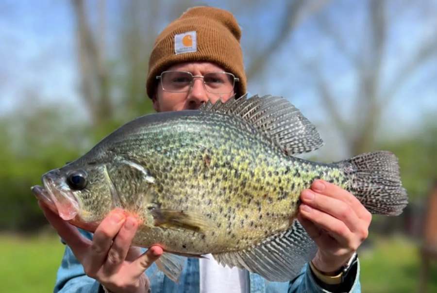 Reel big! See the record-breaking Ohio fish