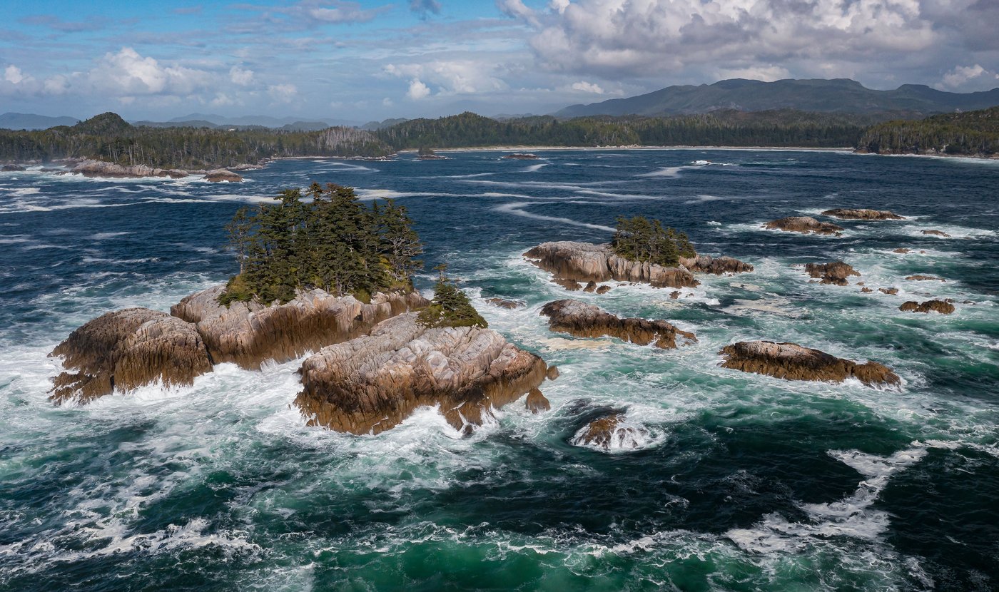 Vast marine conservation reserve, bigger than PEI., to protect BC ...