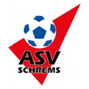 Fabian Krawczyk (sportlicher Leiter SV Hoheneich): Erfahrung und ...