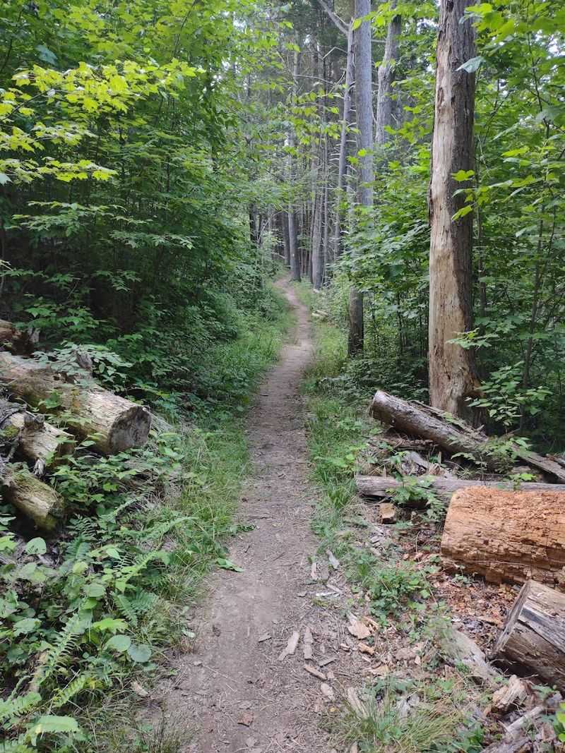 The 2-mile trail in West Virginia that takes you past a spooky ...