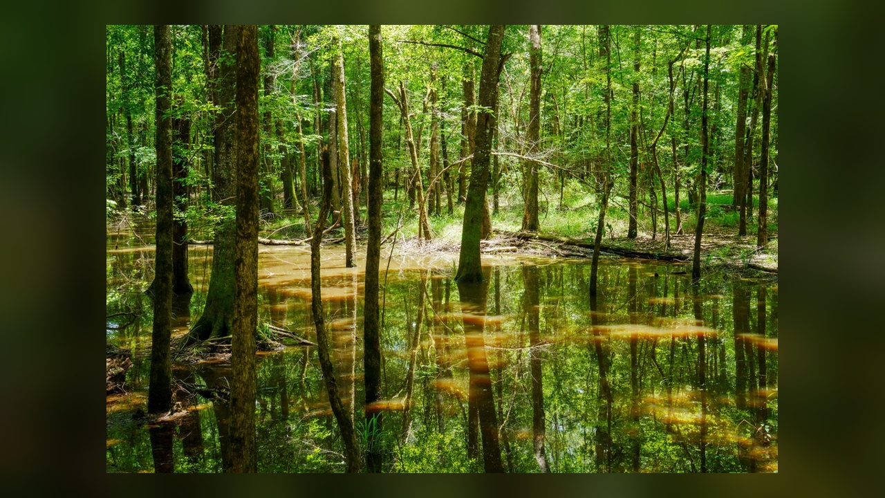 This free Texas preserve has 9 ecosystems in one place, and most people ...