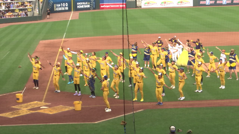 Fans dazzled by first-ever Savannah Bananas game in East Tennessee