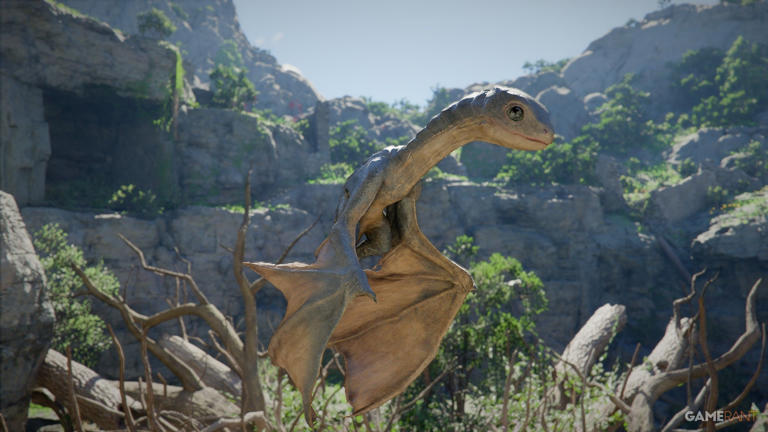 Crimson Desert baby wyvern location & taming guide